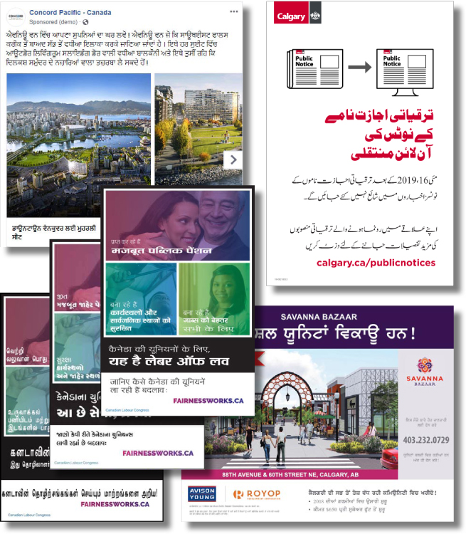 South Asian (Punjabi Marketing) Advertising Sunflower Media